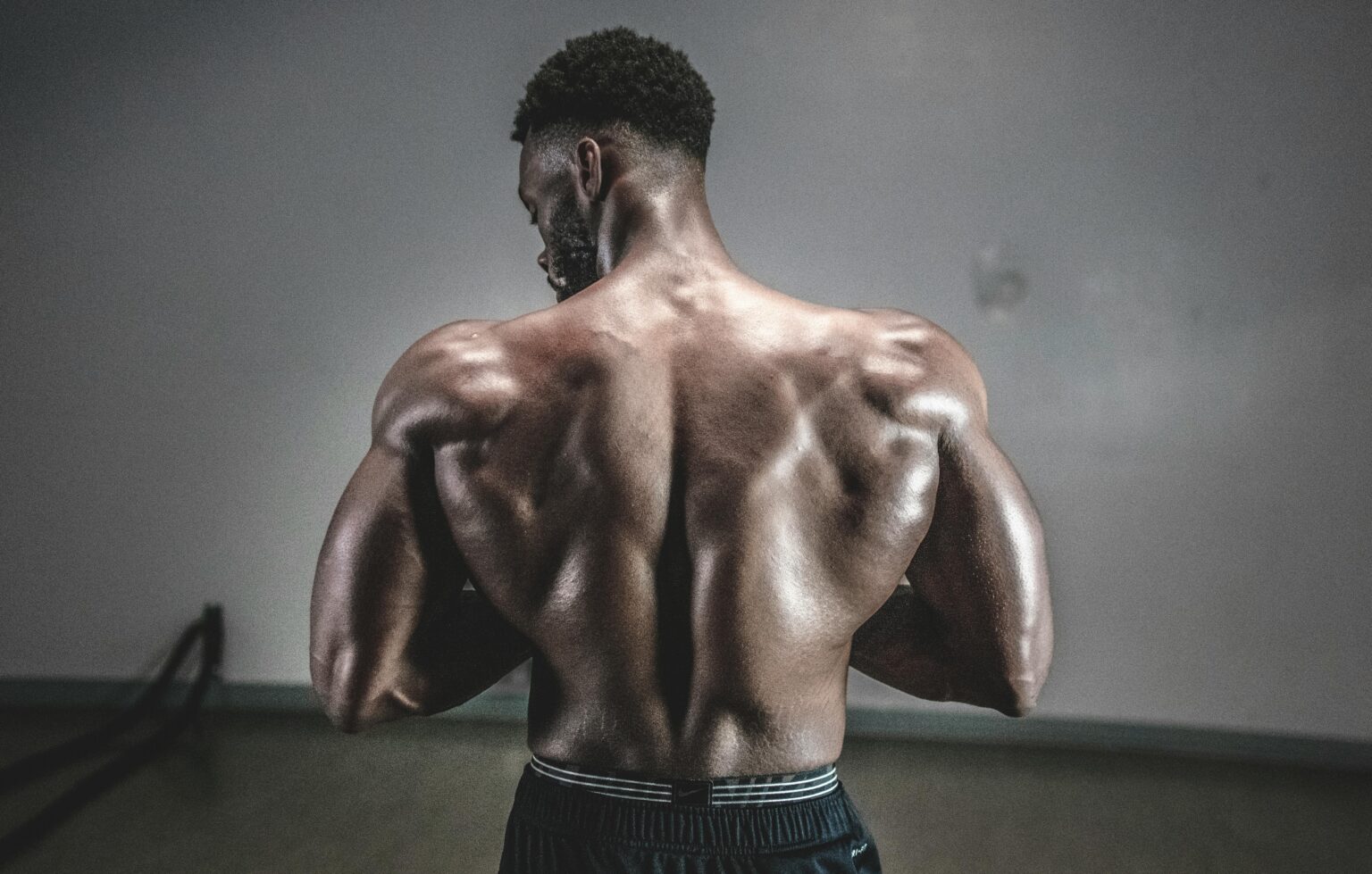 Muscles du dos : anatomie, exercices clés pour un dos puissant ...