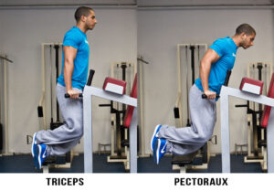 Dips : guide complet pour muscler ton haut du corps